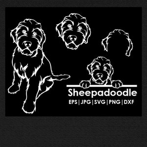 Sheepadoodle Dog Head, Full Body, Peeking, Dog Ear, Files Cricut ...