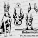 Doberman Svg| Dog Svg Files for Cricut| Peeking Dog Clipart| Vector ...