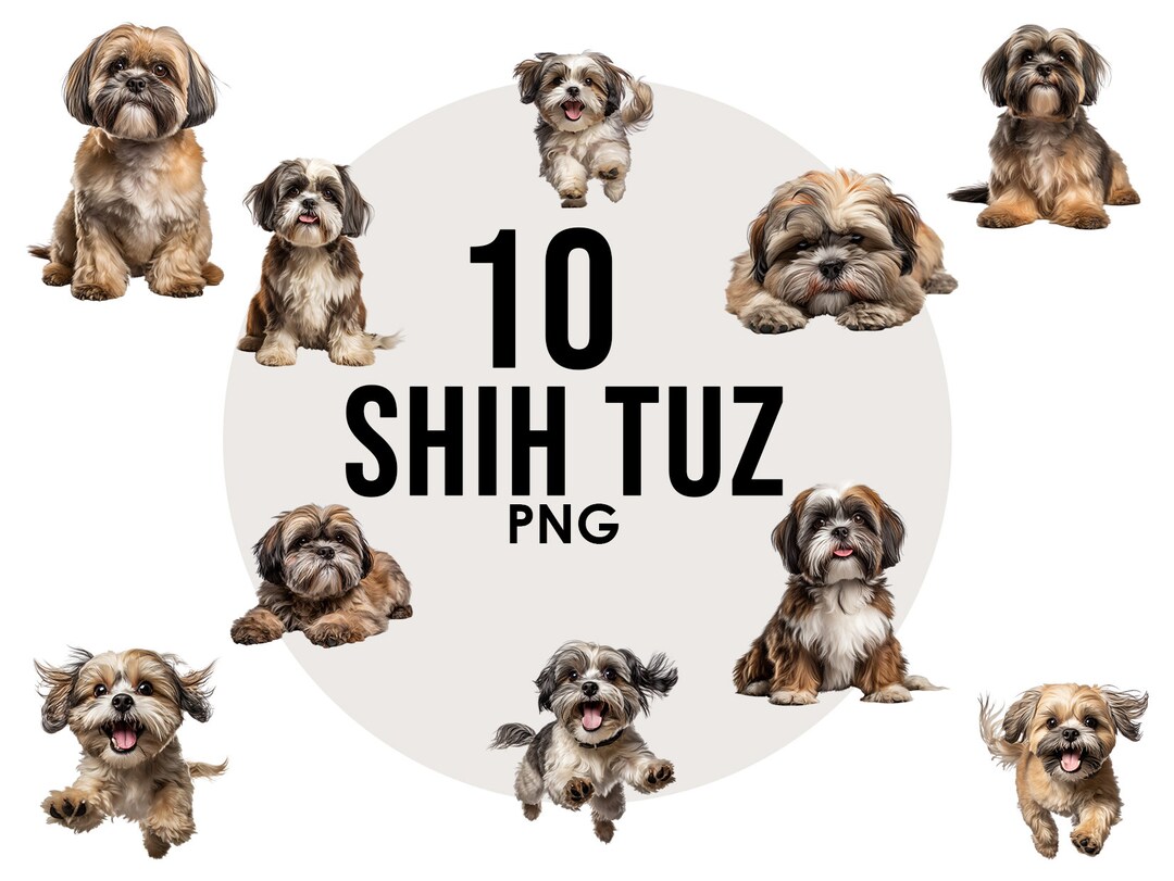 Shih Tuz Dog Breeds Clipart Bundle, Dog Sublimation Designs, Dog Breeds ...