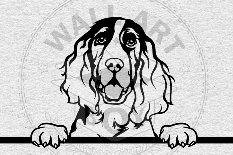 Springer Spaniel Svg Dog Full Body Peeking Head Ears Files for - Etsy