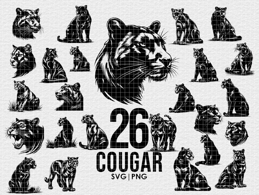 Cougar Vector Illustration Bundle, Svg Png Bundle, Digital Download ...