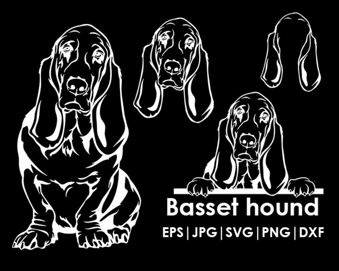 Basset Hound Dog Head, Full Body, Peeking, Dog Ear, Files Cricut ...