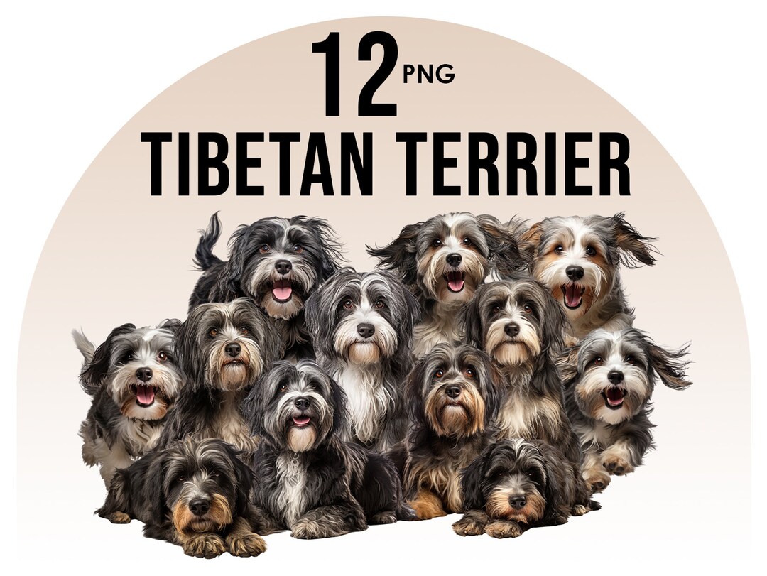 Tibetan Terrier Dog Breeds Clipart Bundle, Dog Sublimation Designs, Dog ...
