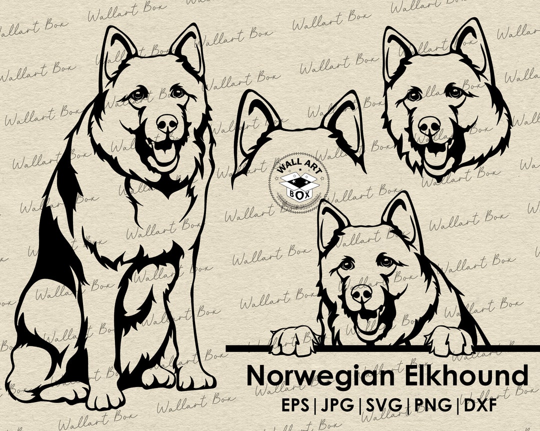 Norwegian Elkhound Svg Cut File Dog Peeking for Cricut|norwegian ...