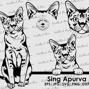 Sing Apurva Cat Svg| Cat Full Body Peeking Head Ears Digital Files ...
