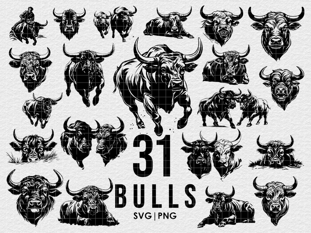 Bulls Vector Illustration, Svg Png Bundle, Digital Download, for Cricut ...