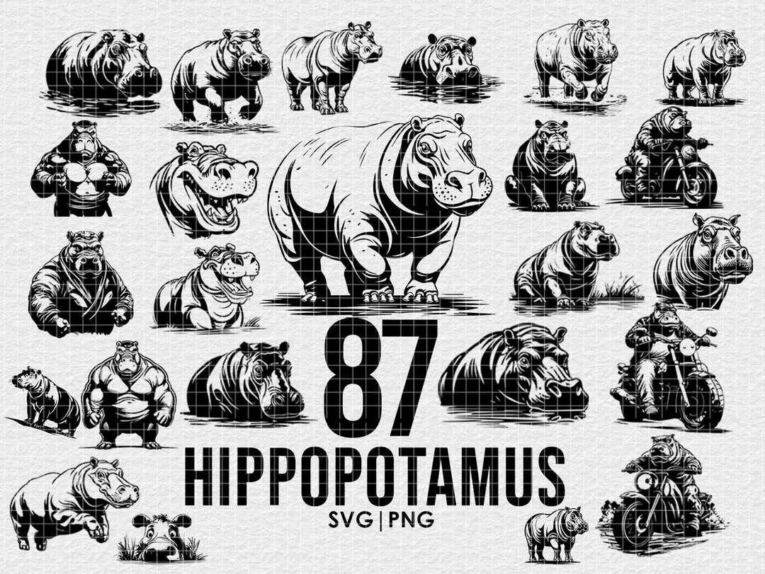 Hippo Vector Illustration Bundle, Svg Png Bundle, Digital Download, for ...
