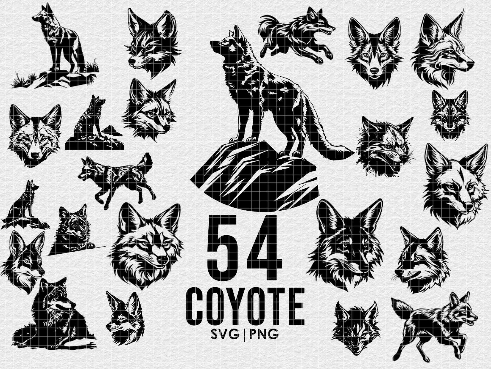 Coyote Vector Illustration Bundle, Svg Png Bundle, Digital Download ...