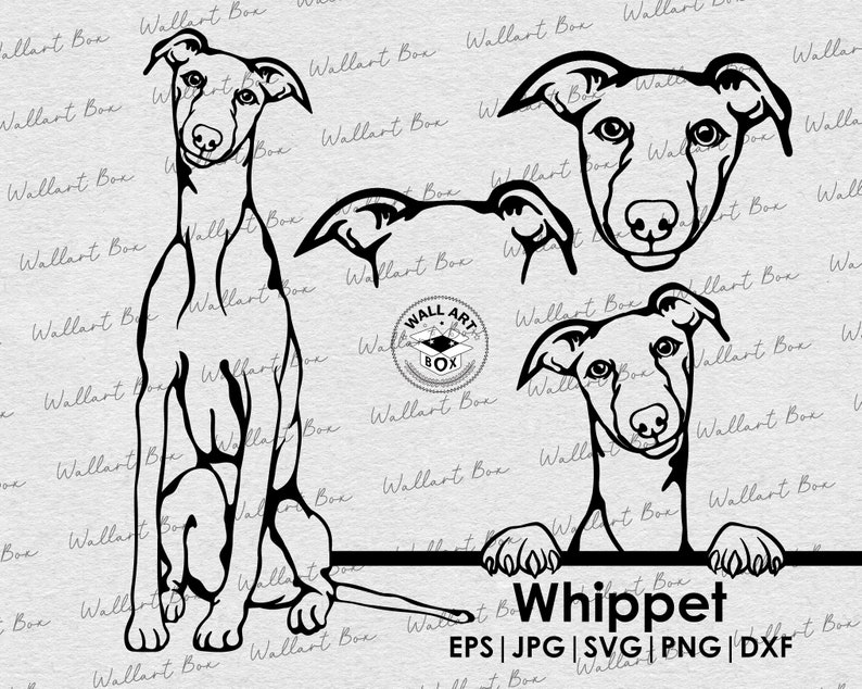 Whippet Dog Svg| Dog Full Body Peeking Head Ears Files Cricut| Clipart ...