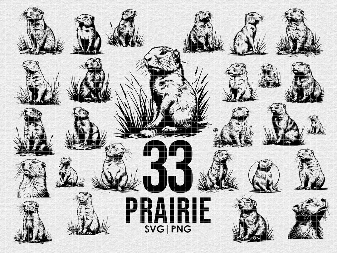 Prairie Vector Illustration Bundle, Svg Png Bundle, Digital Download ...