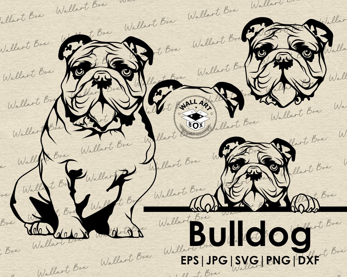 Bulldog Svg Cut File Dog Peeking for Cricut|bulldog Full Body Head Ears ...