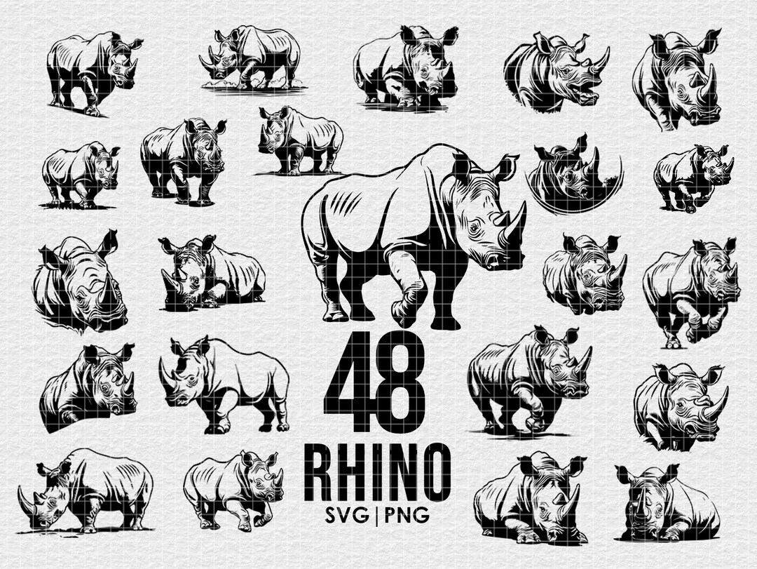 Rhino Vector Illustration Bundle, Svg Png Bundle, Digital Download, for ...