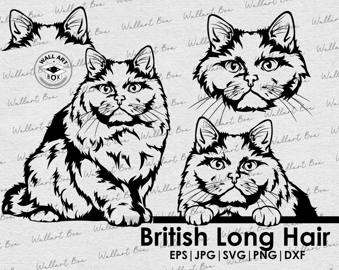 British Long Haired Svg| Cat Svg Files for Cricut| Peeking Cat Clipart ...