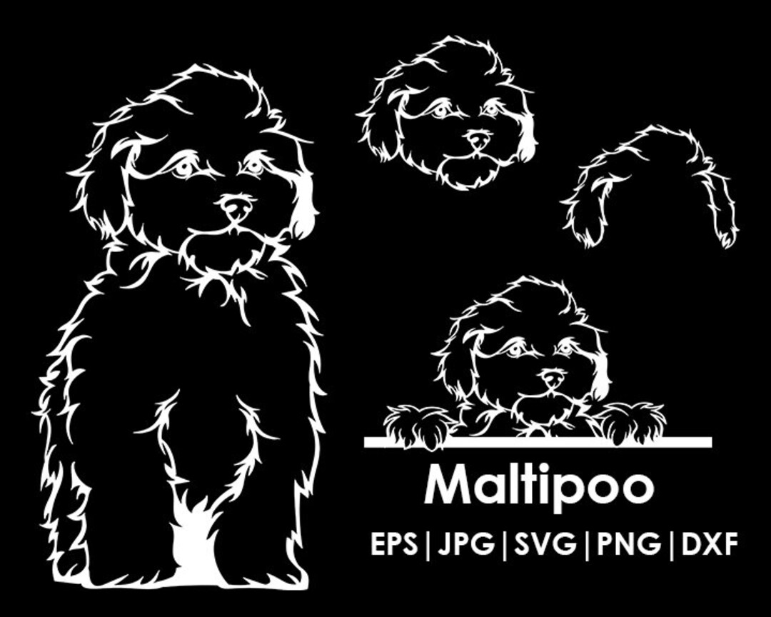 Maltipoo Dog Head, Full Body, Peeking, Dog Ear, Files Cricut| Clipart ...