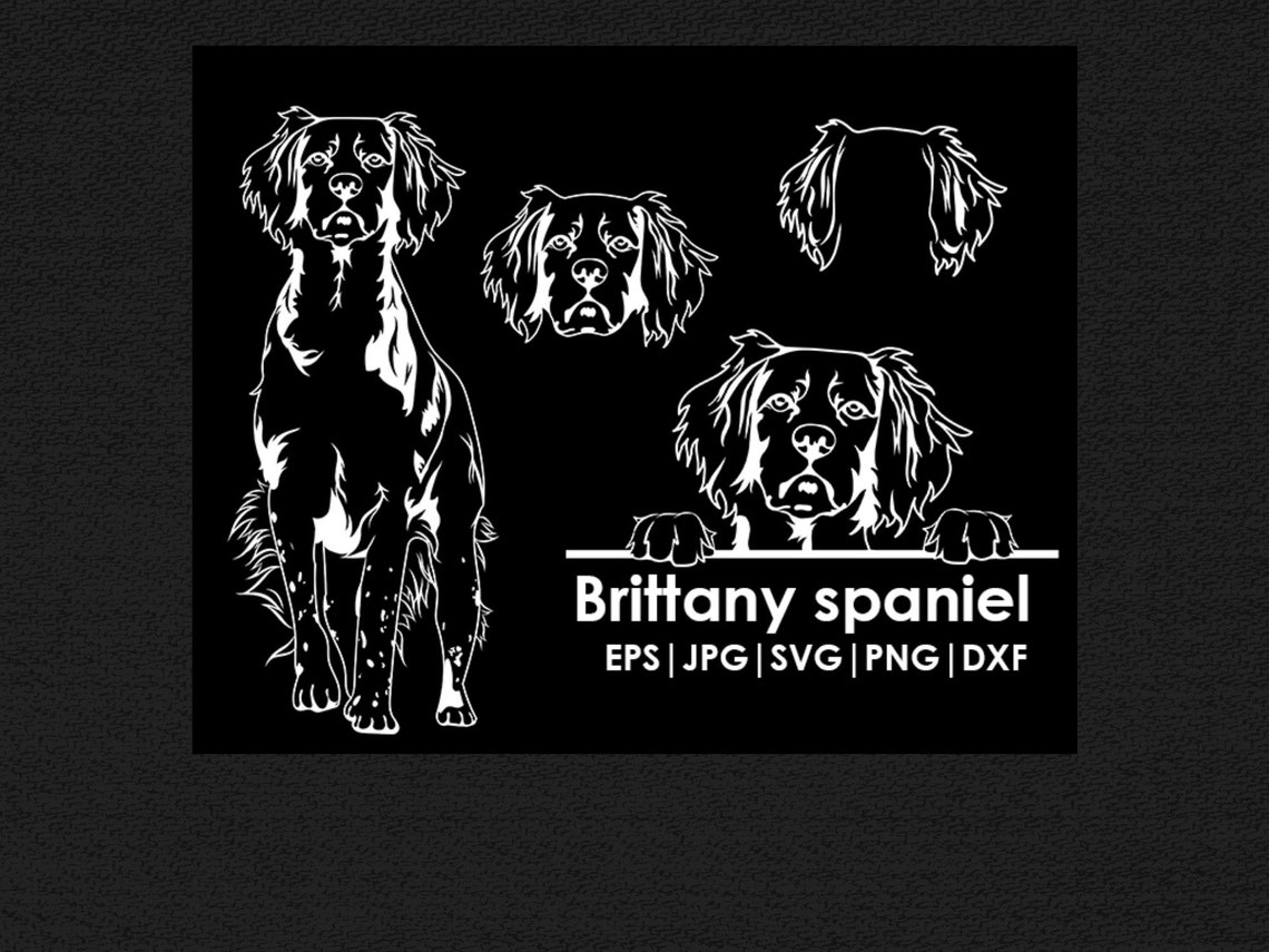 Brittany Spaniel Dog Head, Full Body, Peeking, Dog Ear, Files Cricut ...