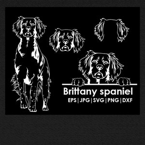 Brittany Spaniel Dog Head, Full Body, Peeking, Dog Ear, Files Cricut ...