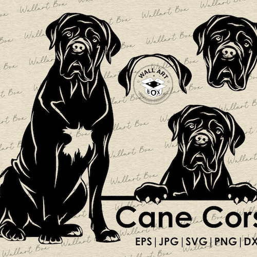 Cane Corso Svg Dog Full Body Peeking Head Ears Files Cricut - Etsy