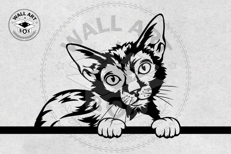 Lykoi Cat Svg Files for Cricut Peeking Cat Clipart Vector - Etsy