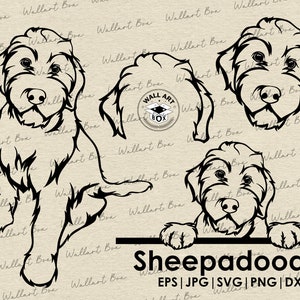 Sheepadoodle Svg Dog Full Body Peeking Head Ears Files Cricut Clipart ...