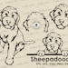 Sheepadoodle Svg Dog Full Body Peeking Head Ears Files - Etsy