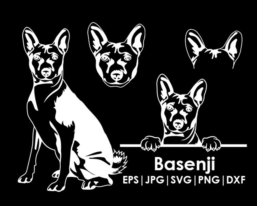 Basenji Dog Head, Full Body, Peeking, Dog Ear, Files Cricut| Clipart ...
