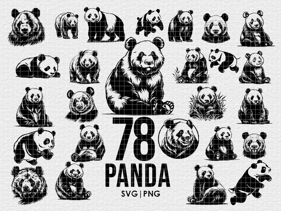Panda Bear Vector Illustration Bundle, Svg Png Bundle, Digital Download ...
