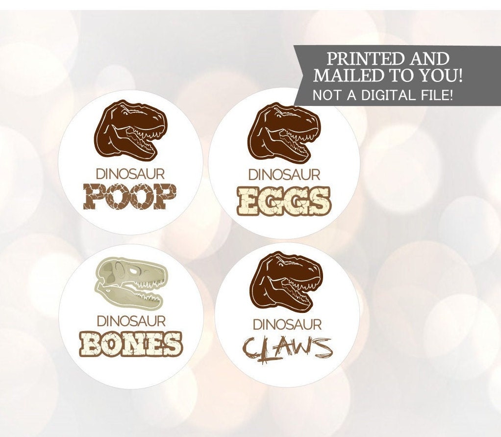 Dinosaur Birthday Party, Dino Dig, Dinosaur Stickers, Dinosaur Eggs ...