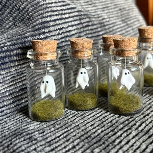 Ghost in a Jar | Mini Ghost Jar | Ghost Pet - Etsy