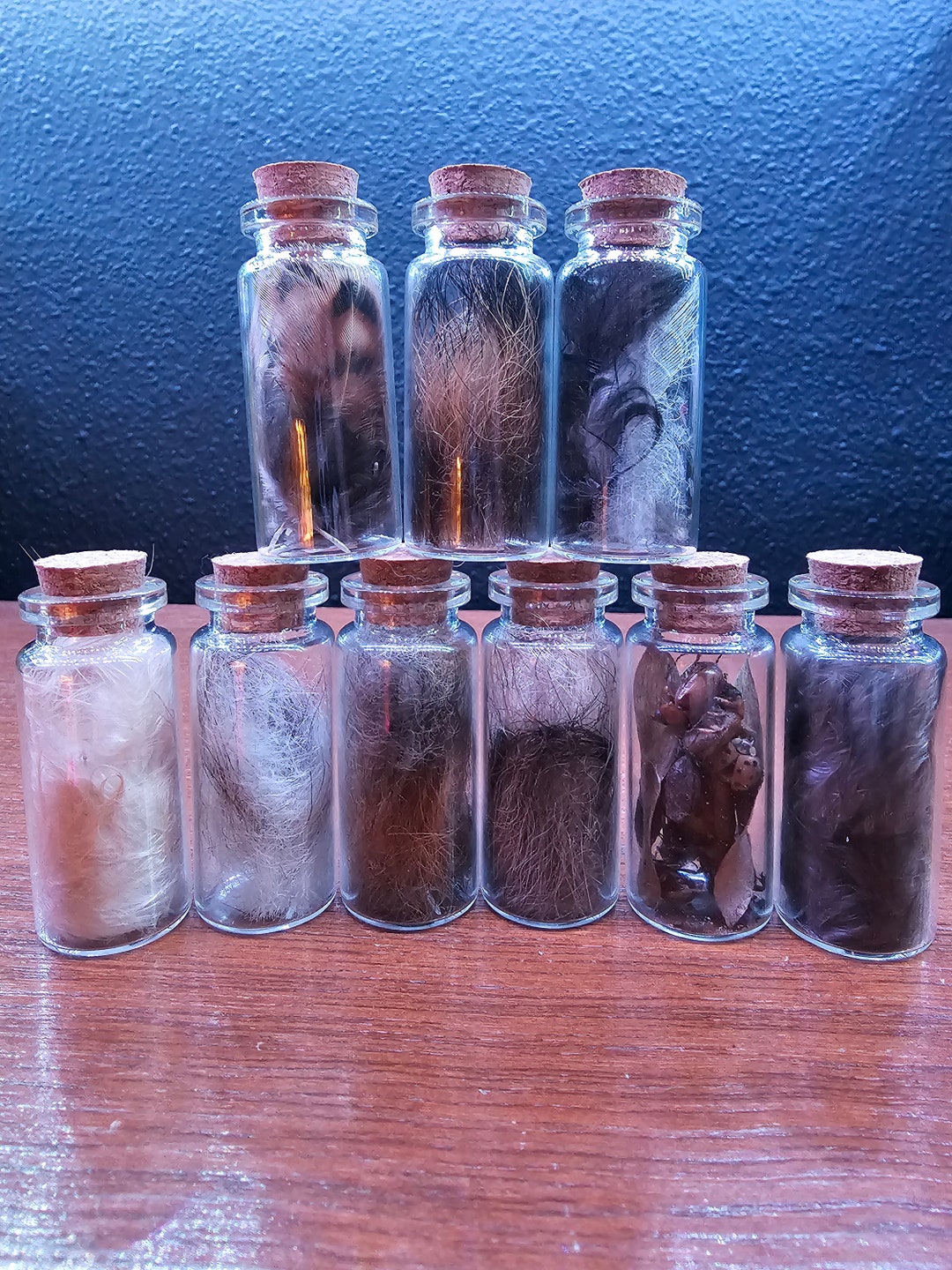 Curiosity Nature Animal Vials | Handmade | Oddities | Animal Fur | Bird ...