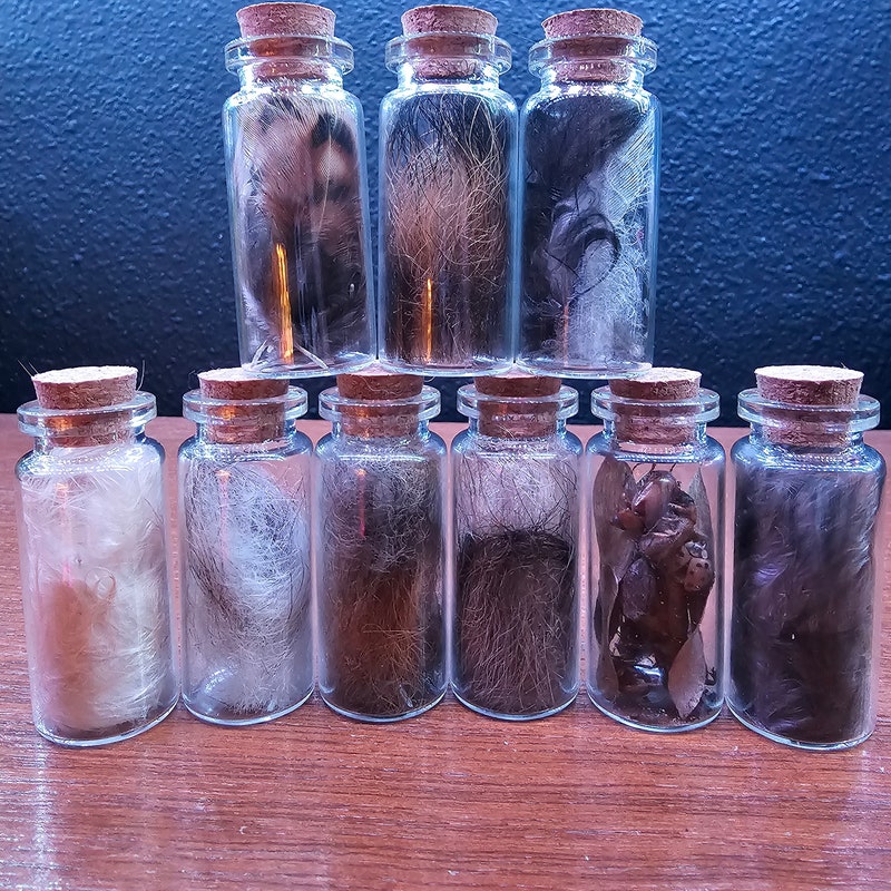 Nature Specimen - Etsy