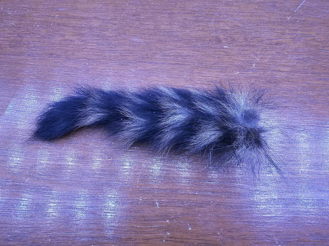 Real Mummified Raccoon Tail Oddities Taxidermy Gothic Home Decor ...