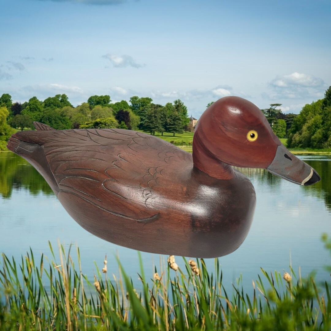 Vintage CAS Handcrafted Redhead Duck Decoy Douglas Fir Driftwood ...