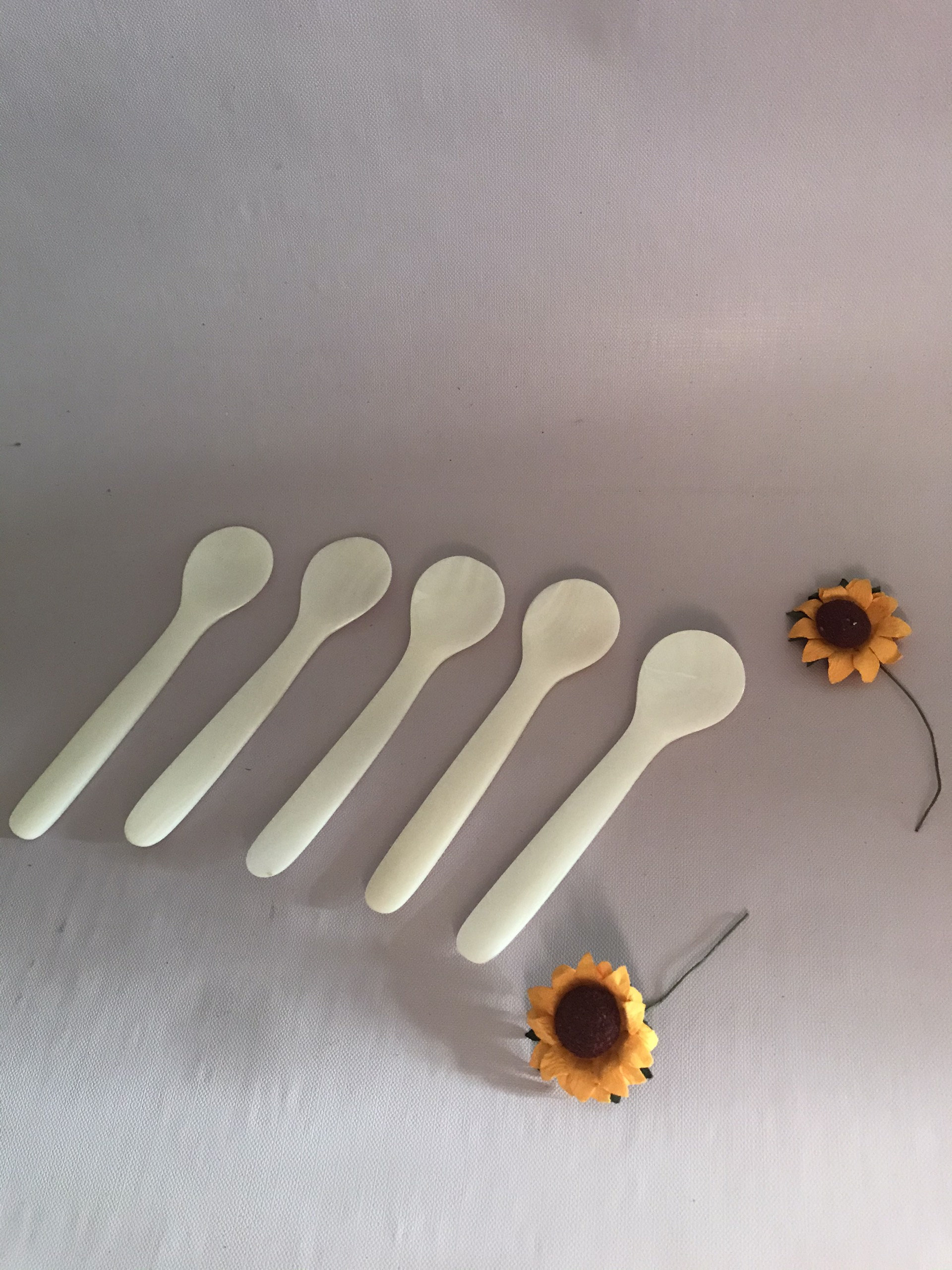 Seashell Spoons 5''L Large Spoon Caviar Spoon - Etsy