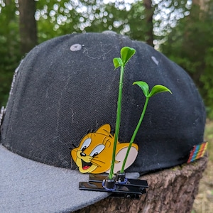 Random Sprout Grab Bag Hat Clip Festival Accessories Sproutgang Brim ...