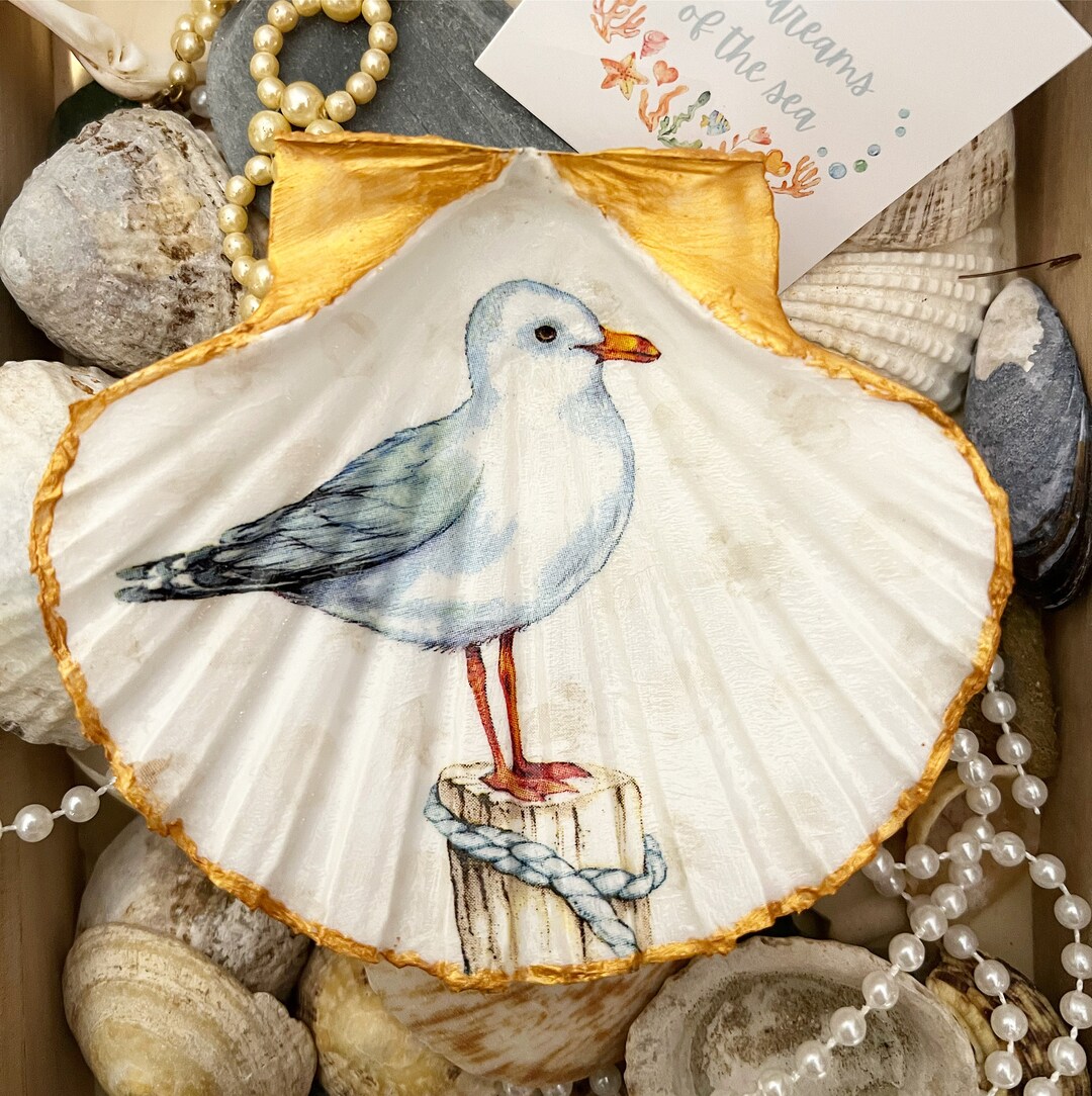 Shell Trinket Dish Cheeky Seagull View Gold Trim - Etsy