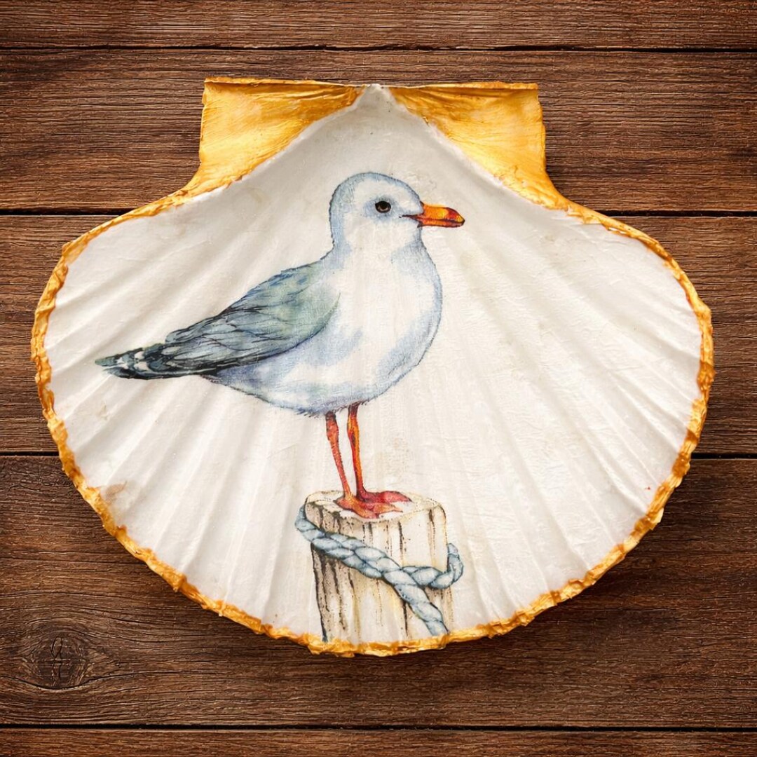 Shell Trinket Dish Cheeky Seagull View Gold Trim - Etsy