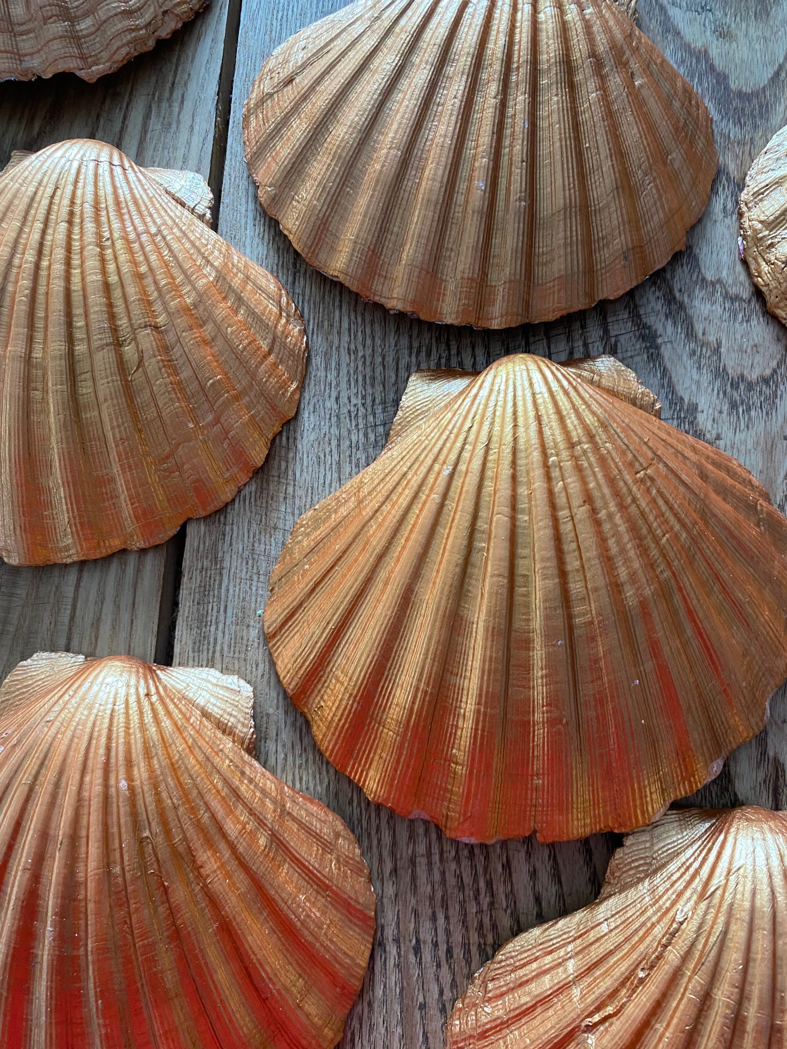 Freepost to UK Shell Trinket Dish Sealife Design Choice of Finish 11 ...