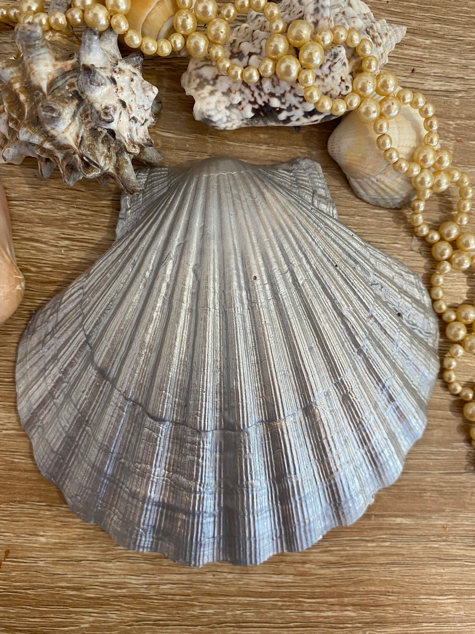 Freepost to UK Shell Trinket Dish Sealife Design Choice of Finish 11 ...