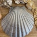 Freepost to UK Shell Trinket Dish Sealife Design Choice of Finish 11 ...
