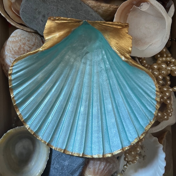 Scallop Shell - Etsy