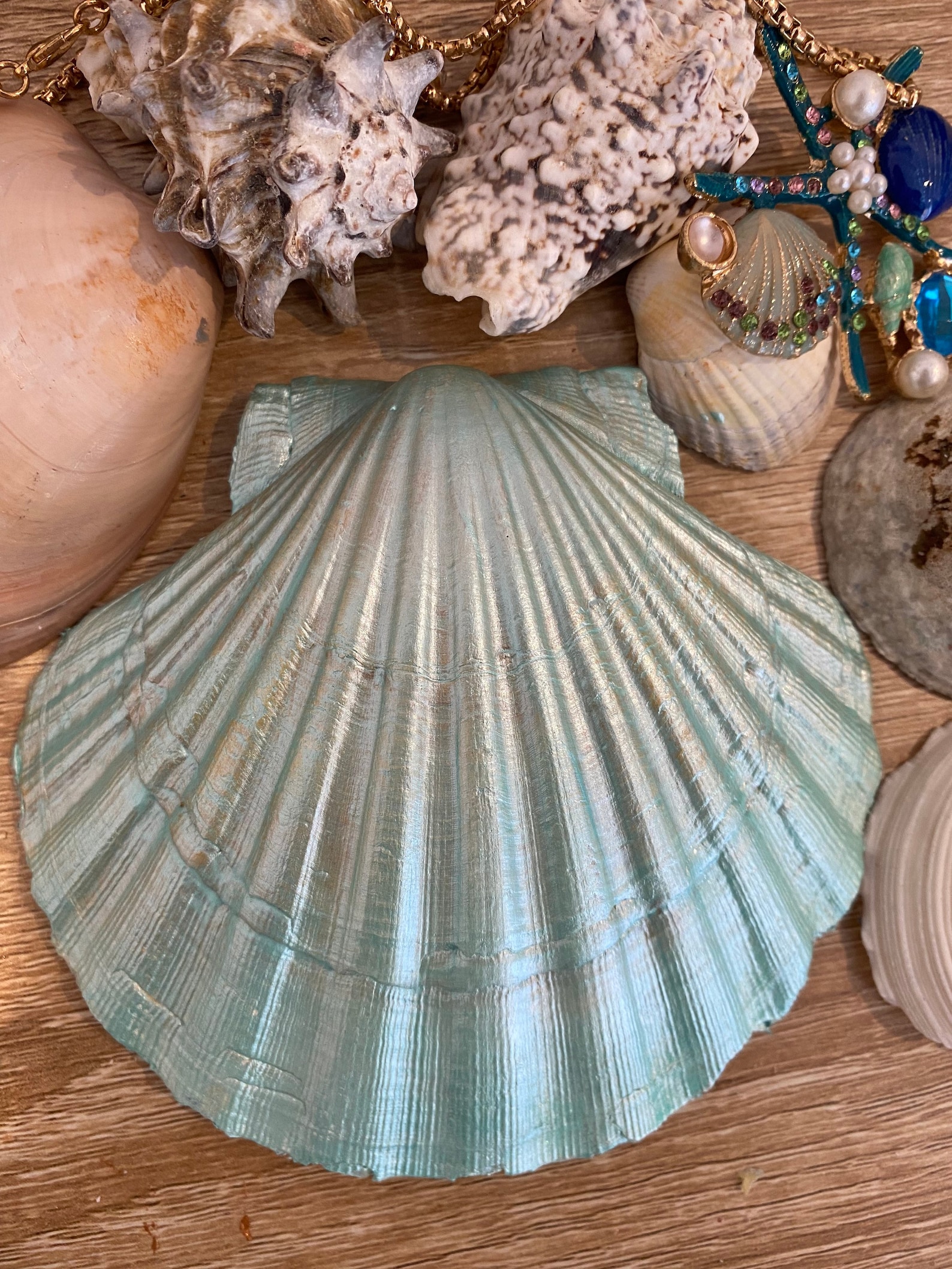 Freepost to UK Shell Trinket Dish Sealife Design Choice of Finish 11 ...