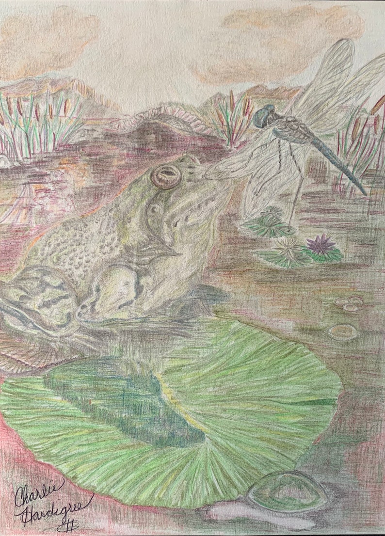 Green Frog Color Pencil Drawing - Etsy