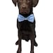 Dog Bow Tie Sewing Pattern: Beginner-friendly PDF (5 Sizes) - Etsy
