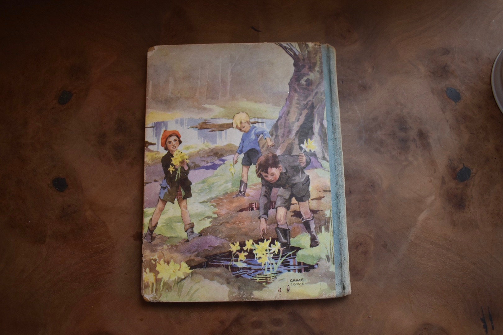Daffodil Story Book by Enid Blyton. First Edition Published - Etsy UK