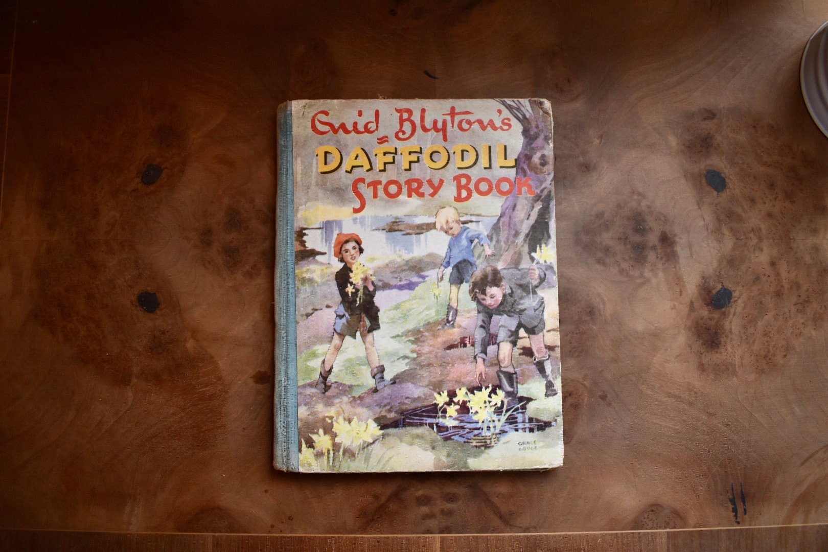 Daffodil Story Book by Enid Blyton. First Edition Published - Etsy UK