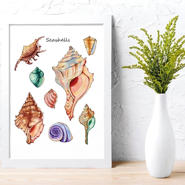 Conch Shell Art - Etsy