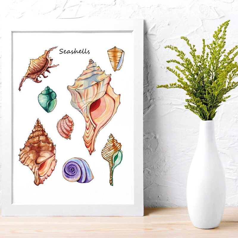 Conch Shell Art - Etsy