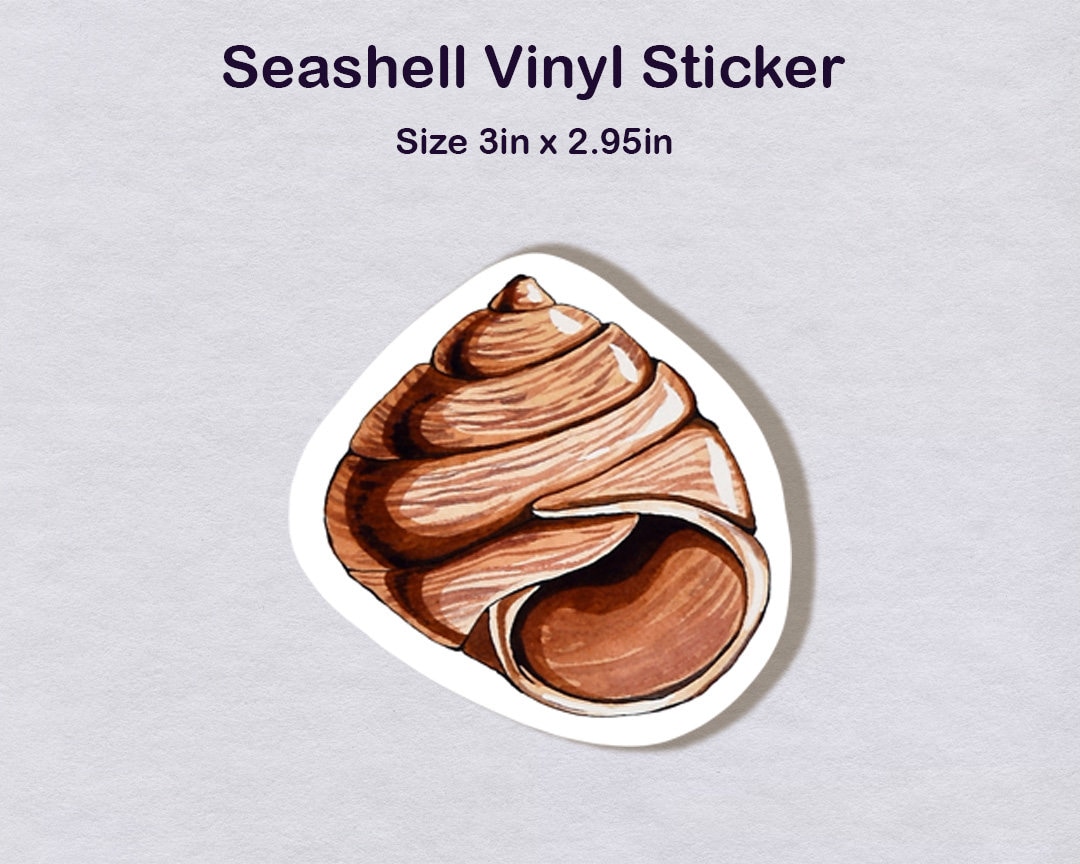 Seashell Art Vinyl Sticker, Waterproof Sticker, for Laptop, Beachcomb ...