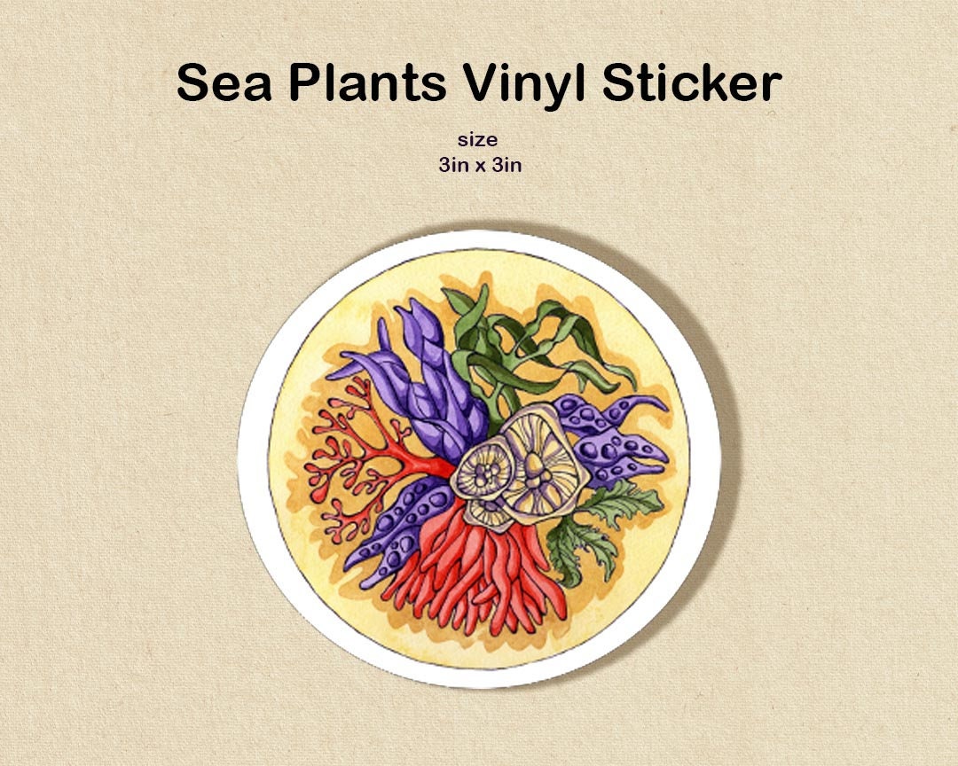Sea Plants Art Vinyl Sticker, Waterproof Sticker, for Laptop, Beachcomb Art Sticker, Coastal ...