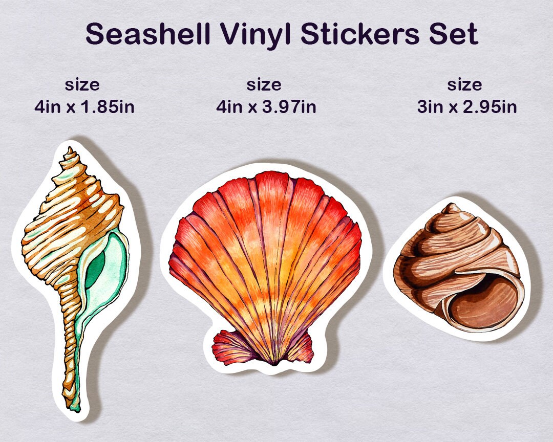 Seashell Art Vinyl Sticker Pack Set of 3, Waterproof Sticker, for ...